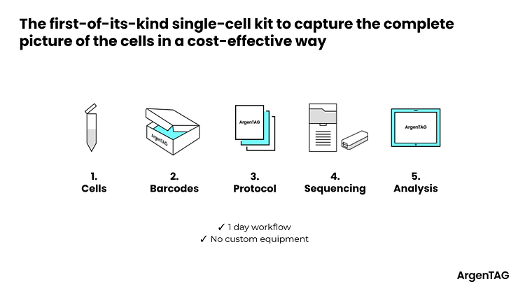 Single-cell sequencing: what it is and why researchers in industry and ...