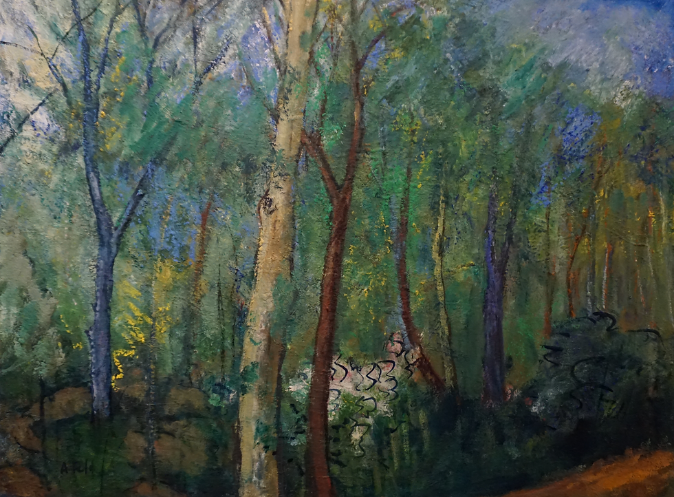 No. 29: Central Park | Anna Feld Art
