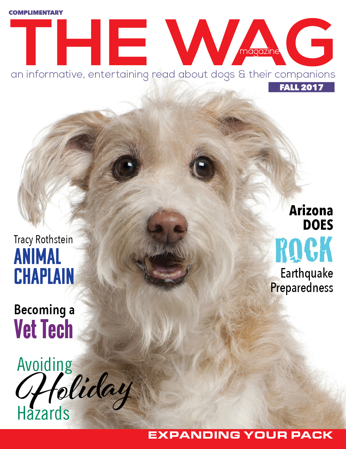 Canines | The WAG magazine