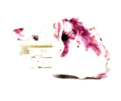 Huckleberry Bark | the-paperie-ecom