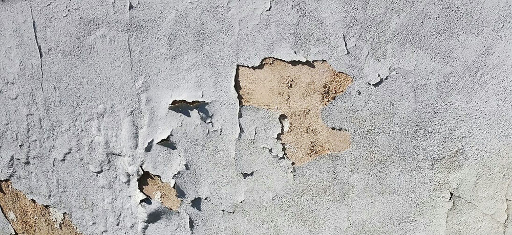 Common Paint Failures and Their Solutions