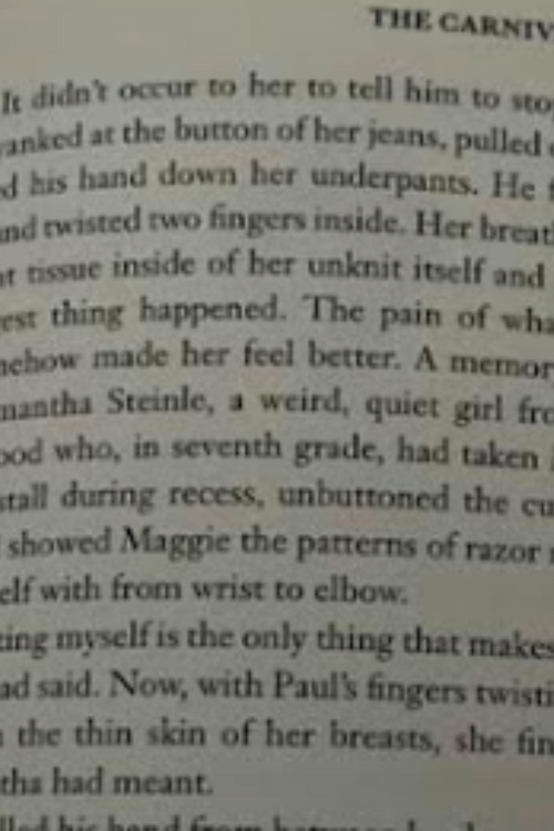 The Carnival at Bray by Jessie Ann Foley | Rated Books