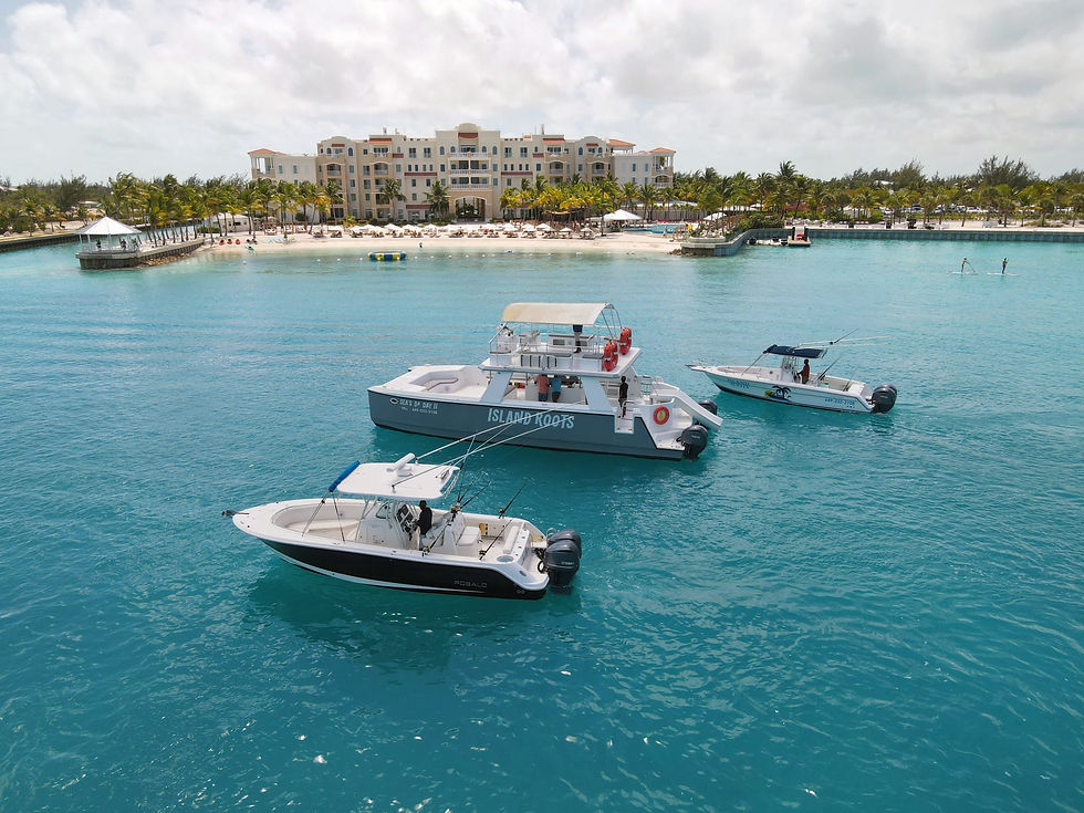 Island Roots Boat Tours and Adventures, Turks and Caicos Islands ...