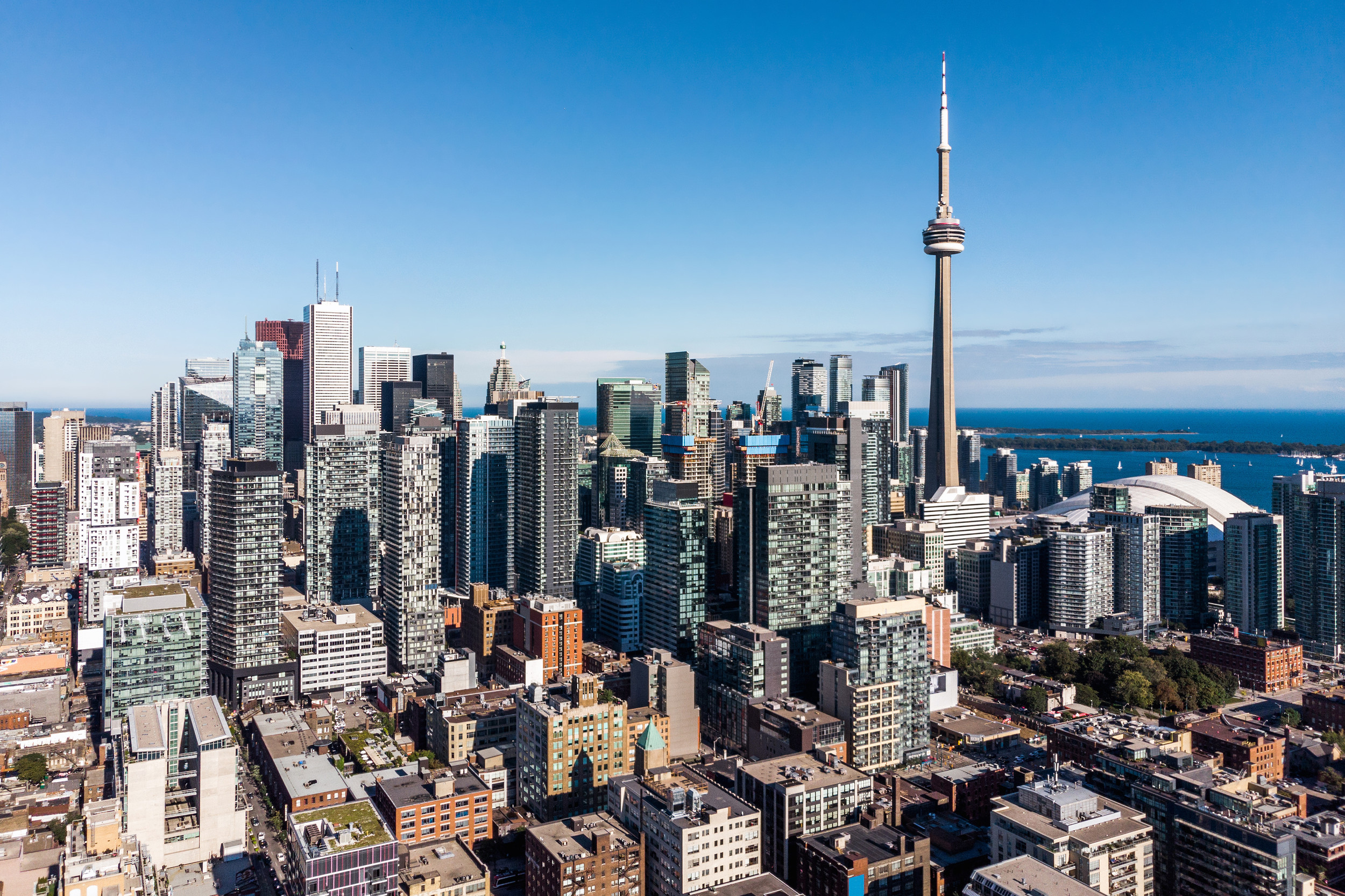 Advantage Pest Control | pest control Hamilton | Toronto, ON, Canada