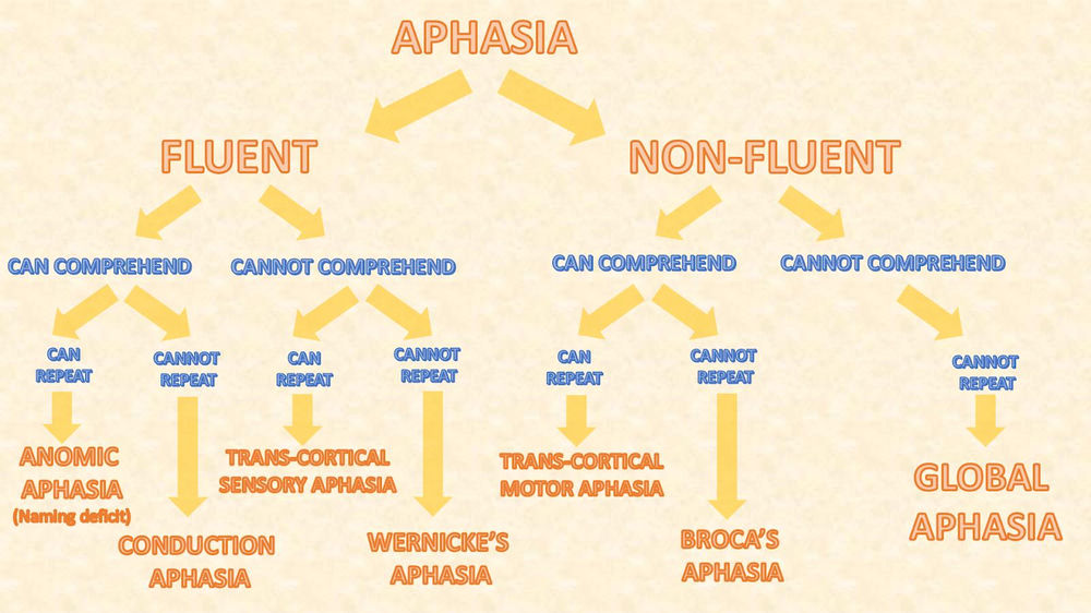 Aphasia: Tracing through the mysteries of a language disorder