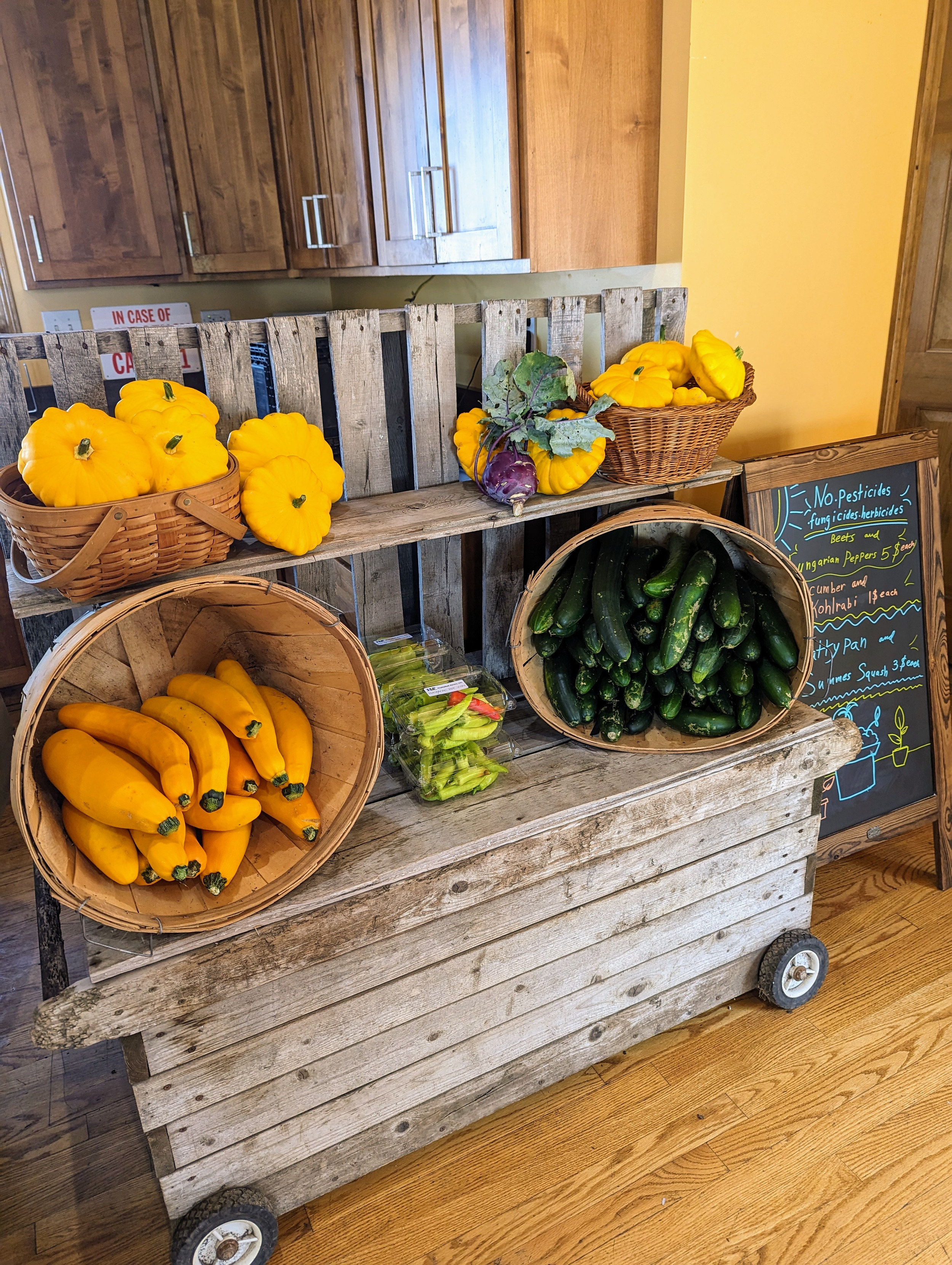 Summer CSA | Hephzibah Farms