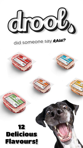 Drool 80-10-10 Raw Dog Food (Full Boxes) | I Want Pet Foods