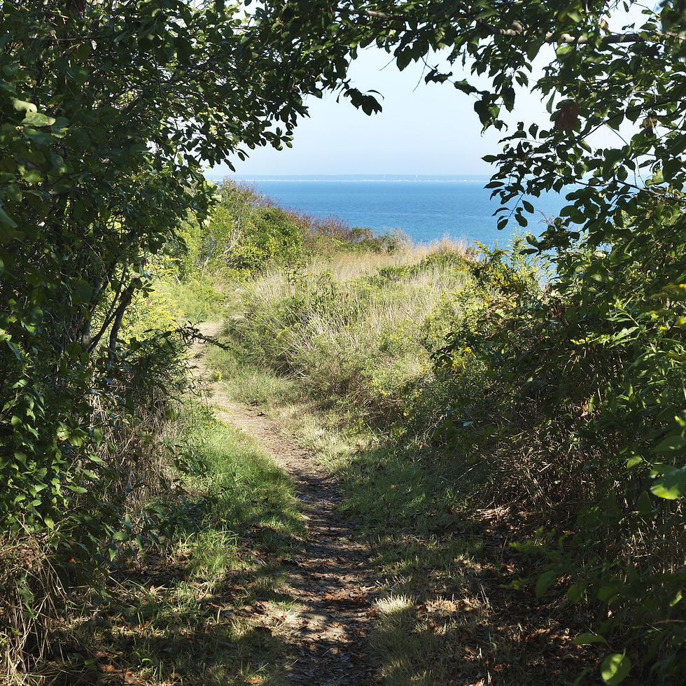 Nature Walks & Programs | Nature Block Island