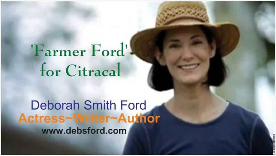 Allie's Adventures by Deborah Smith Ford