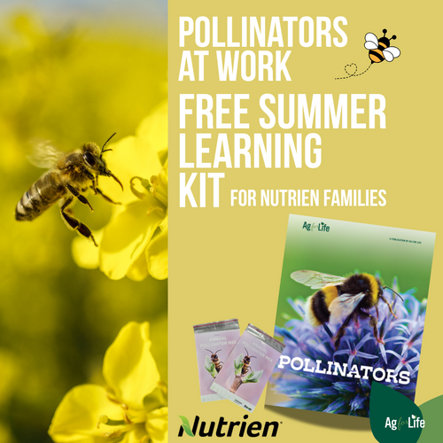 Pollinator Learning Kit - SOLD OUT! | Agriculture for Life