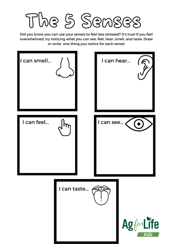 The 5 Senses Can Help You Calm Down