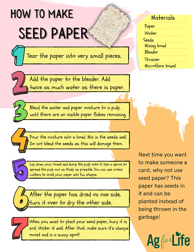 How to Make Seed Paper