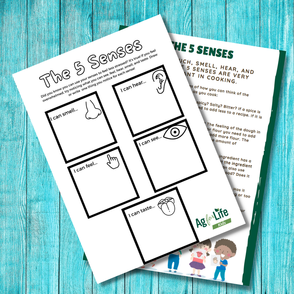 The 5 Senses Can Help You Calm Down