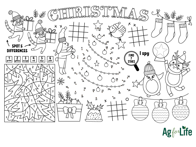 Holiday Activity Sheet