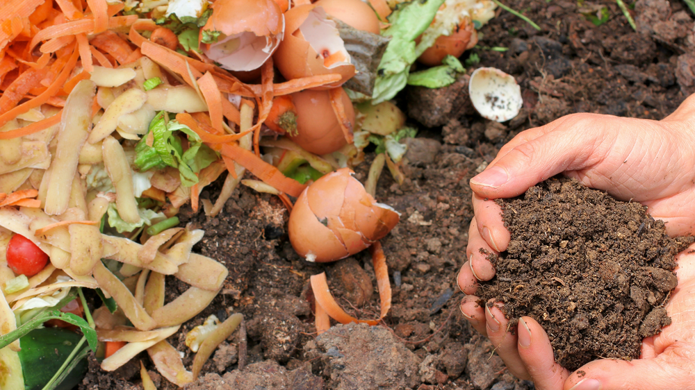 Earth Day Compost Experiment