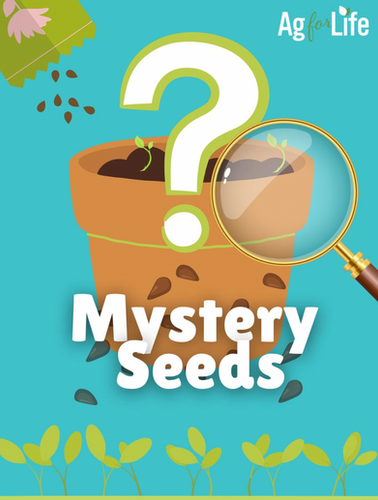 Mystery Seeds (Digital Version) | Agriculture for Life