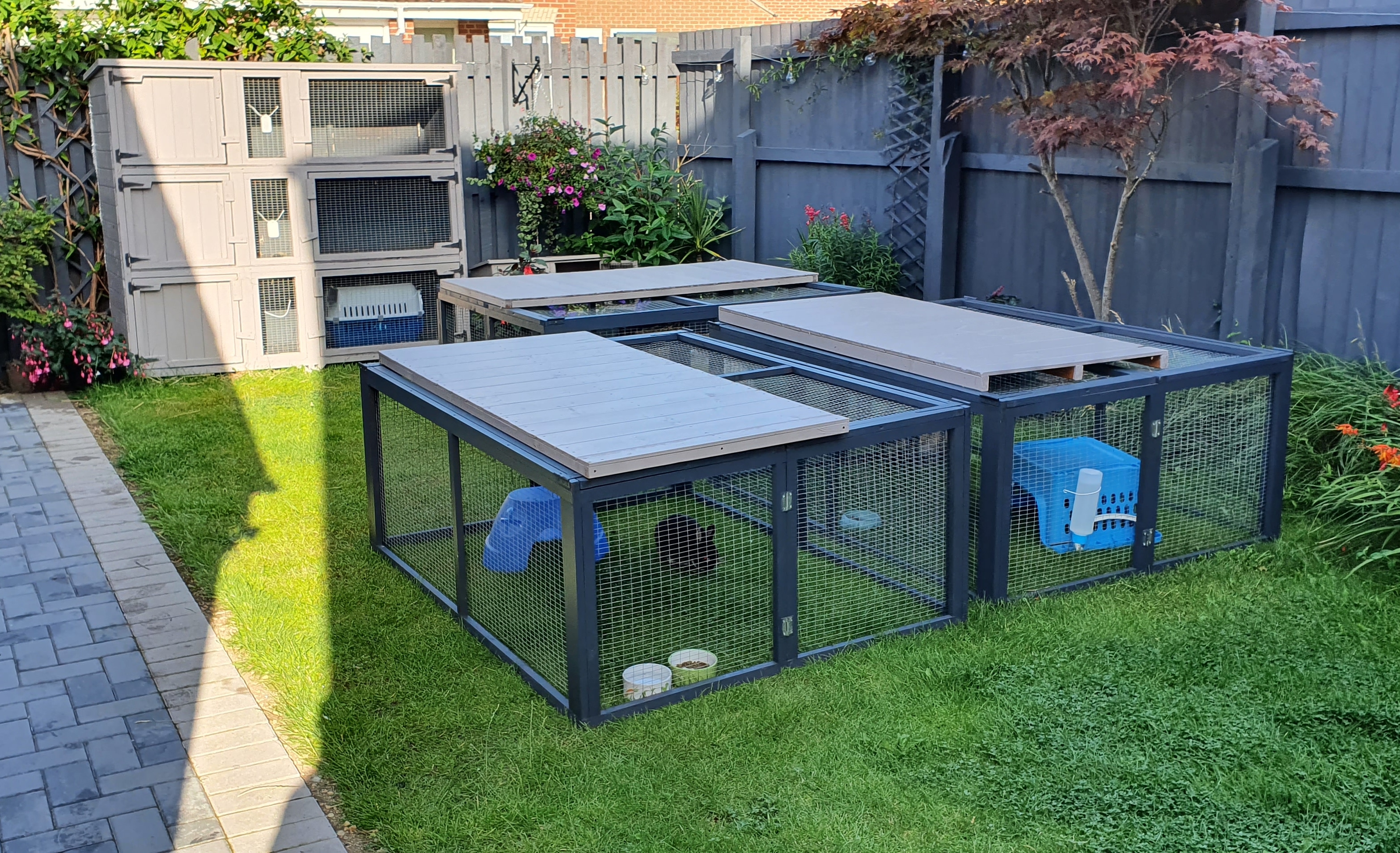 Ingleby Bunny Boarding | Accommodation | Pet Boarding | Teesside