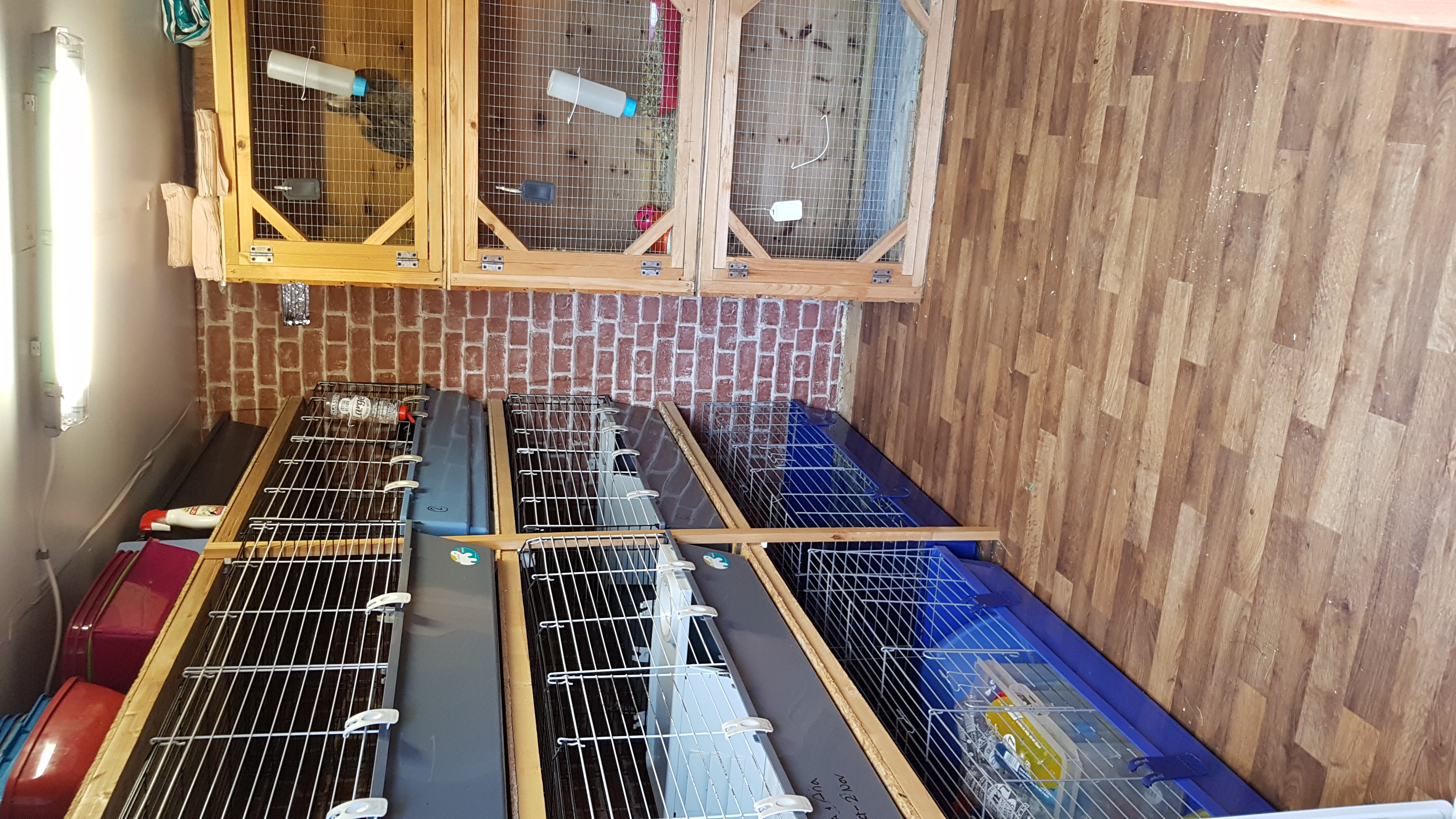 Ingleby Bunny Boarding | Accommodation | Pet Boarding | Teesside