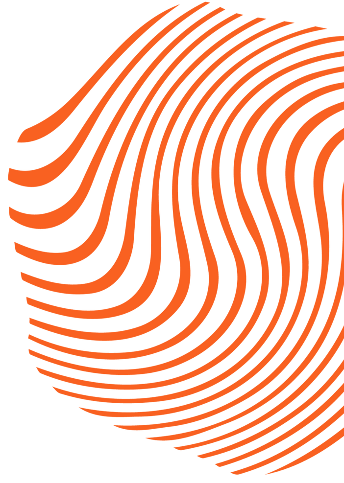 About | Transform Partners