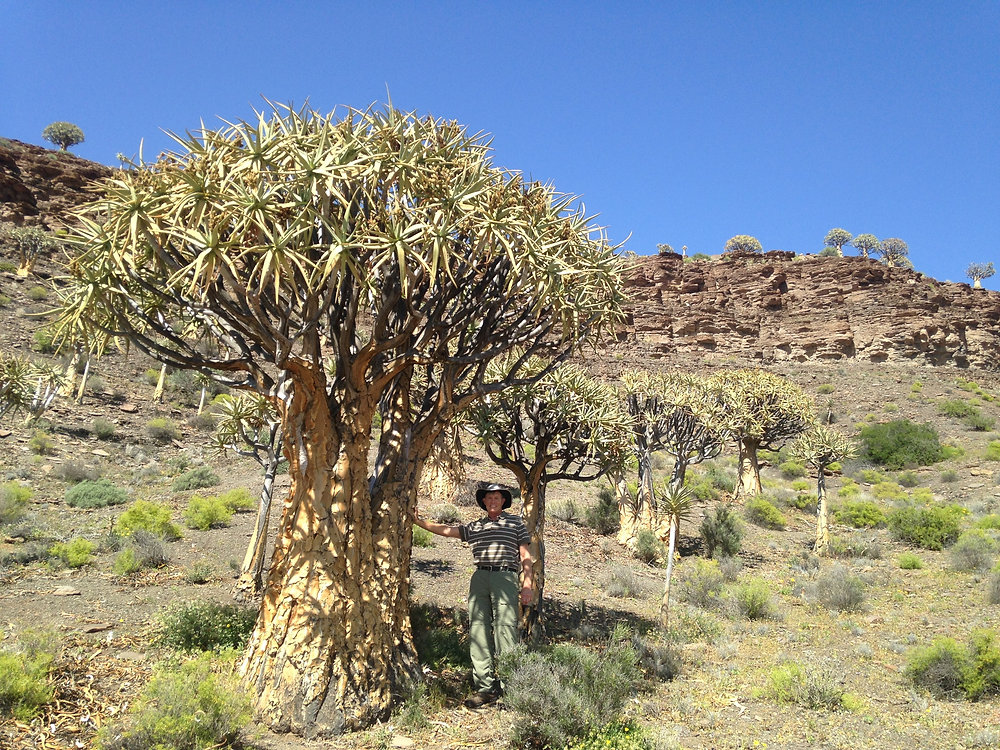 MY LIFE WITH PLANTS: Nieuwoudtville, South Africa