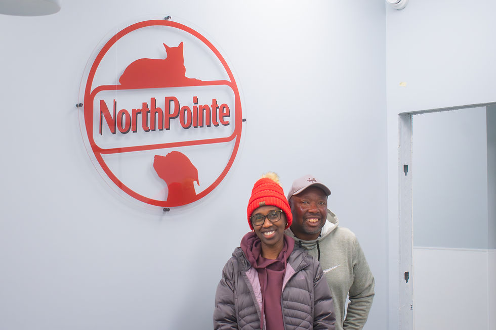 Veterinarian in Fresno, CA | NorthPointe Animal Hospital