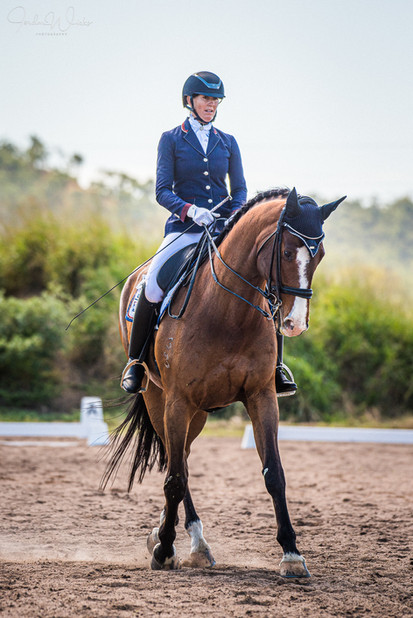 Dressage Coach | Pvs Training | Bowen