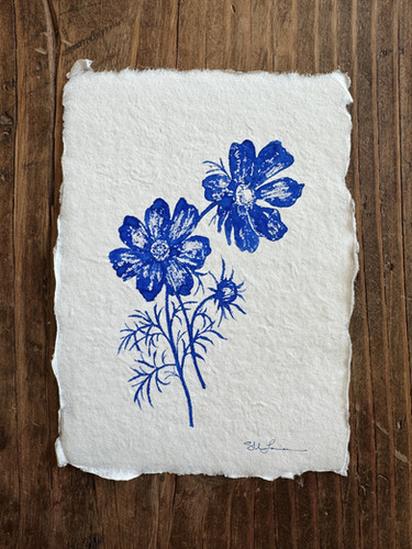 "Cosmos" 5x7 | shealeenlouise