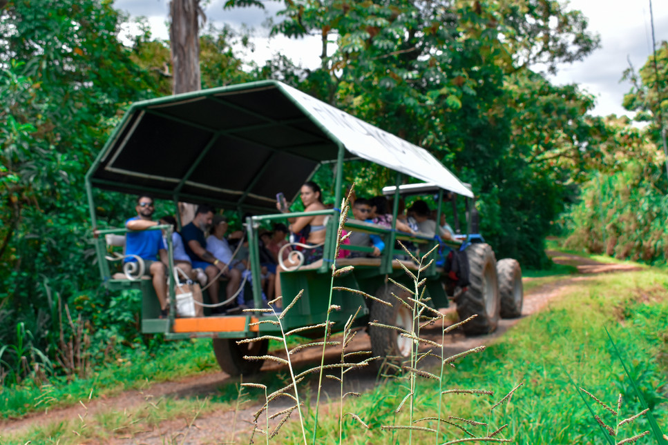 Aventura Natural | Finca Koki | San Pedro de Poás