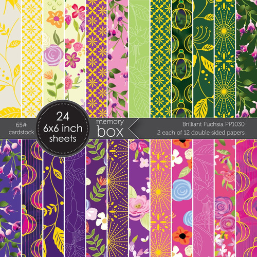 Brilliant Fuchsia 6x6 pack | CSCS