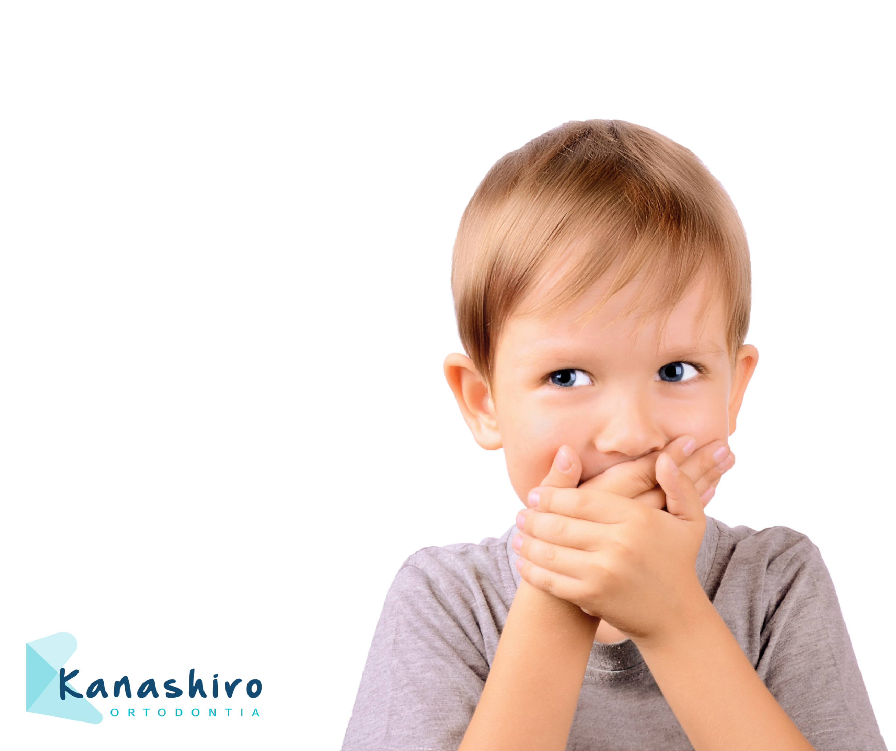 31e18c_d8bf2078d2774ad393108ead465441a3~mv2_d_2938_2463_s_4_2.png (2938 ...