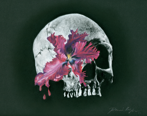 Skulldera - Original Drawing | Renee Boynton Art