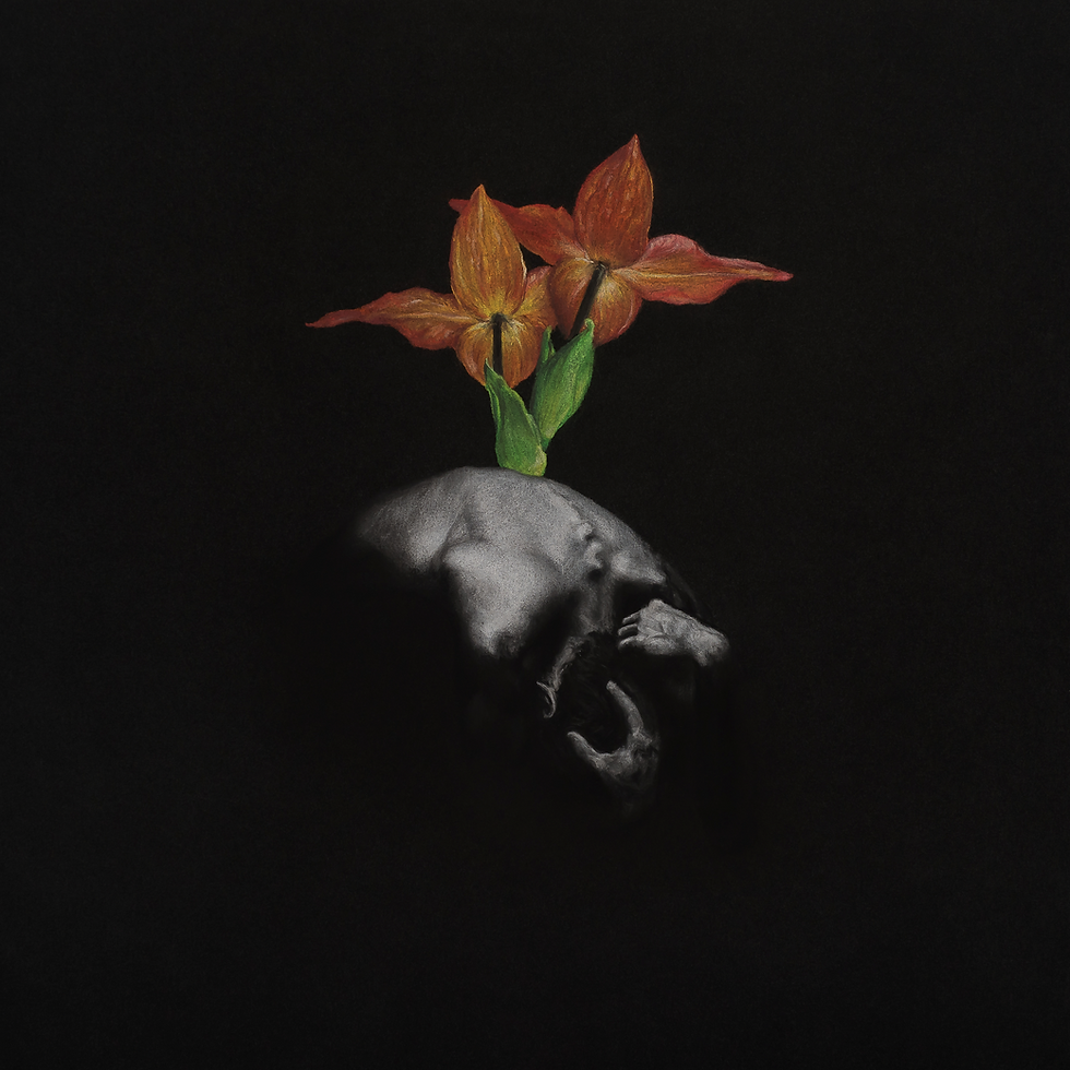 Resurgence - Original Drawing | Renee Boynton Art