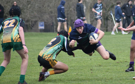 PRCs 2024 | Aurora Wolves Rugby