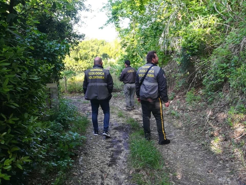 Guardie Giurate Ecologiche Volontarie, chi sono e cosa fanno?