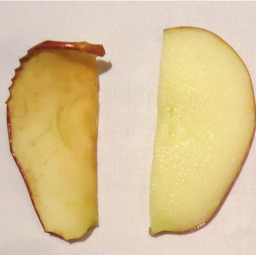 Galería de Fotos | Antioxidante Para Alimentos Klaretón