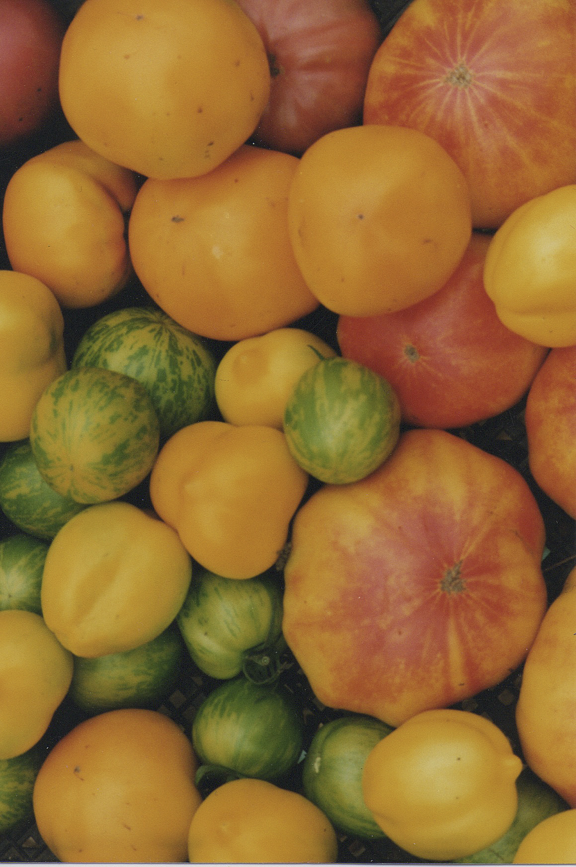 Home | Voss Organics | Madison, WI