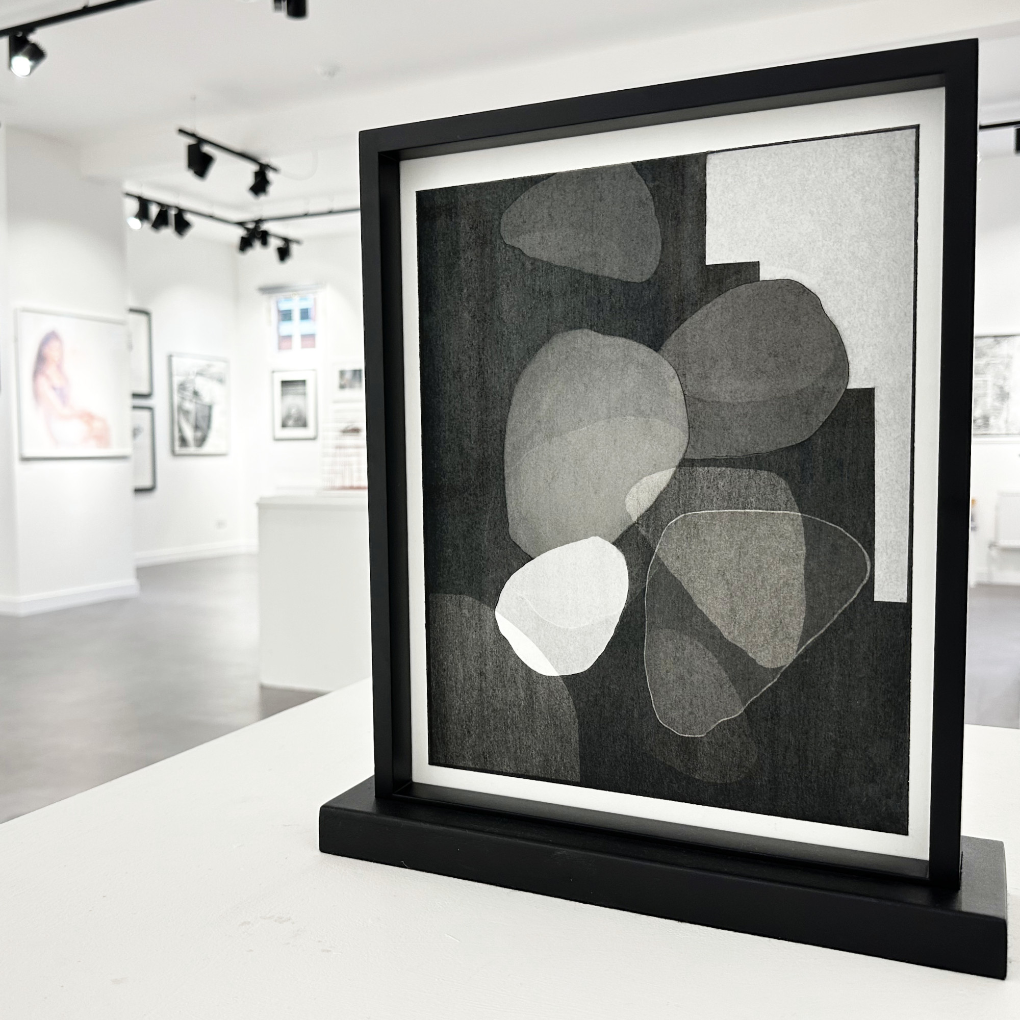 Sue Mann | Sheltered Dreams series