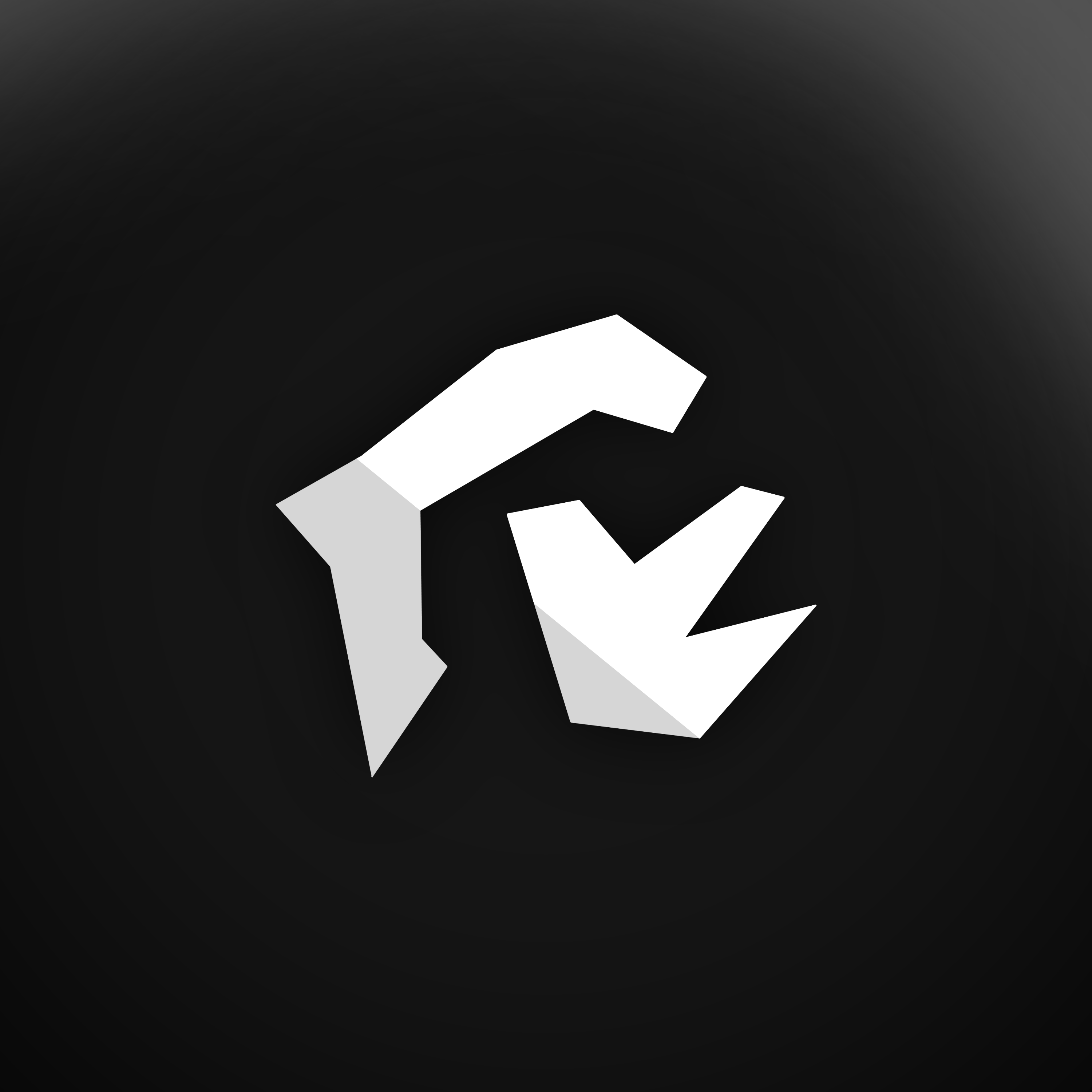 Custom Logo | Ruze Graphics