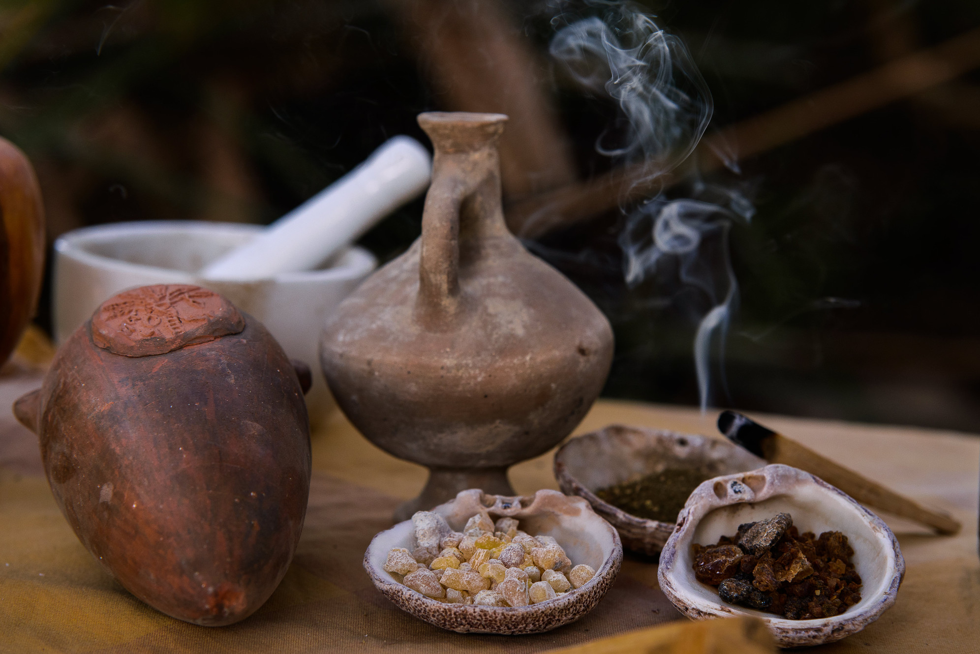 The Balm of Gilead Farm – Ancient Biblical Agriculture & Healing Plants ...