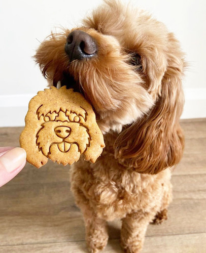 Cockapoo breed biscuit | Brucie Bakes