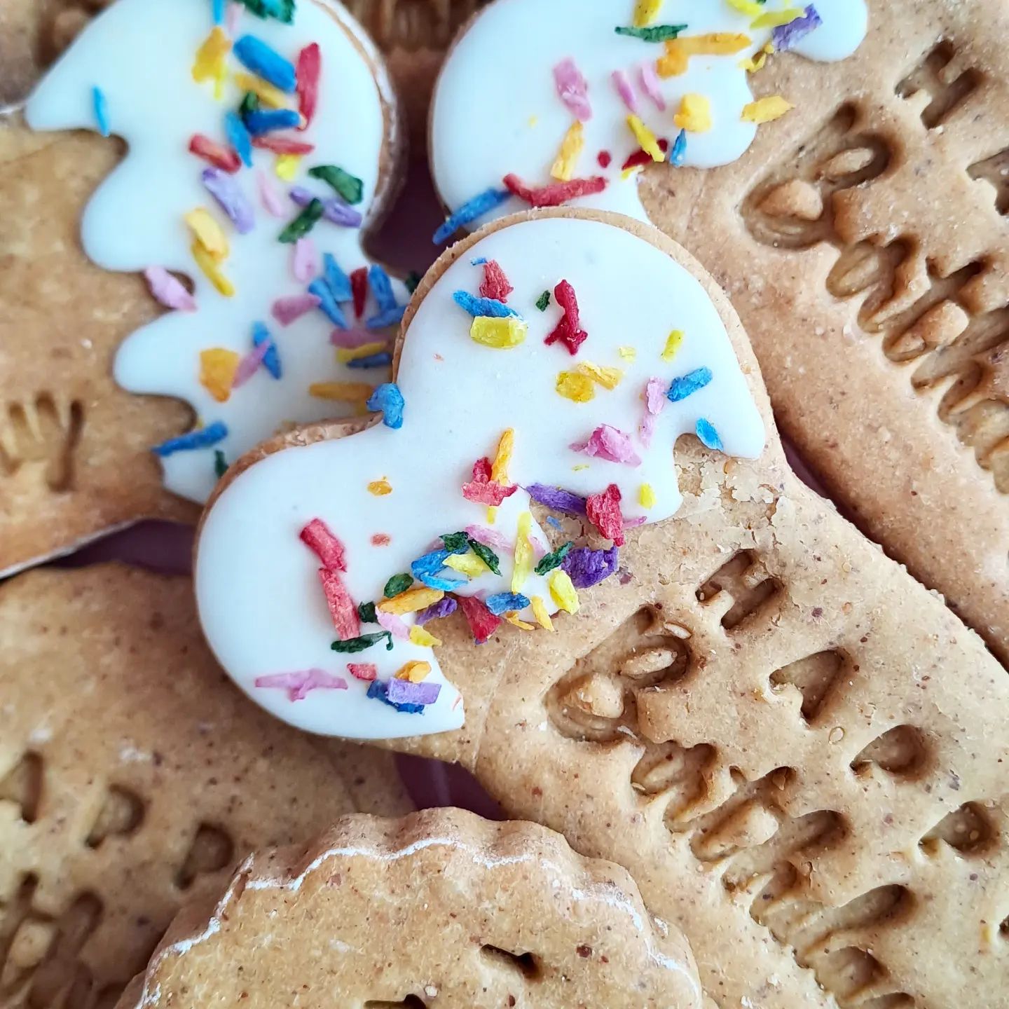 Birthday bone bundle x 5 bones | Brucie Bakes