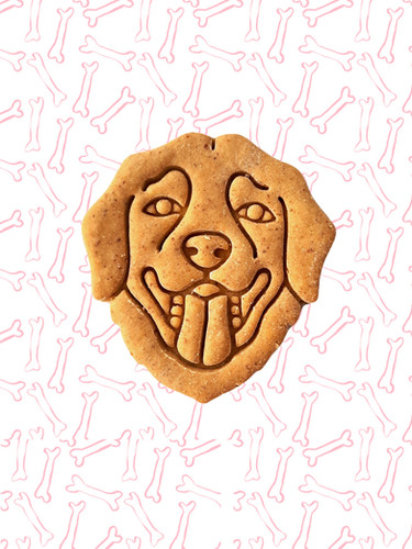 Labrador breed biscuit | Brucie Bakes