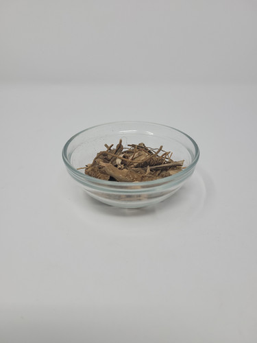 Dried Bitterroot | Sweet Medicine Shop