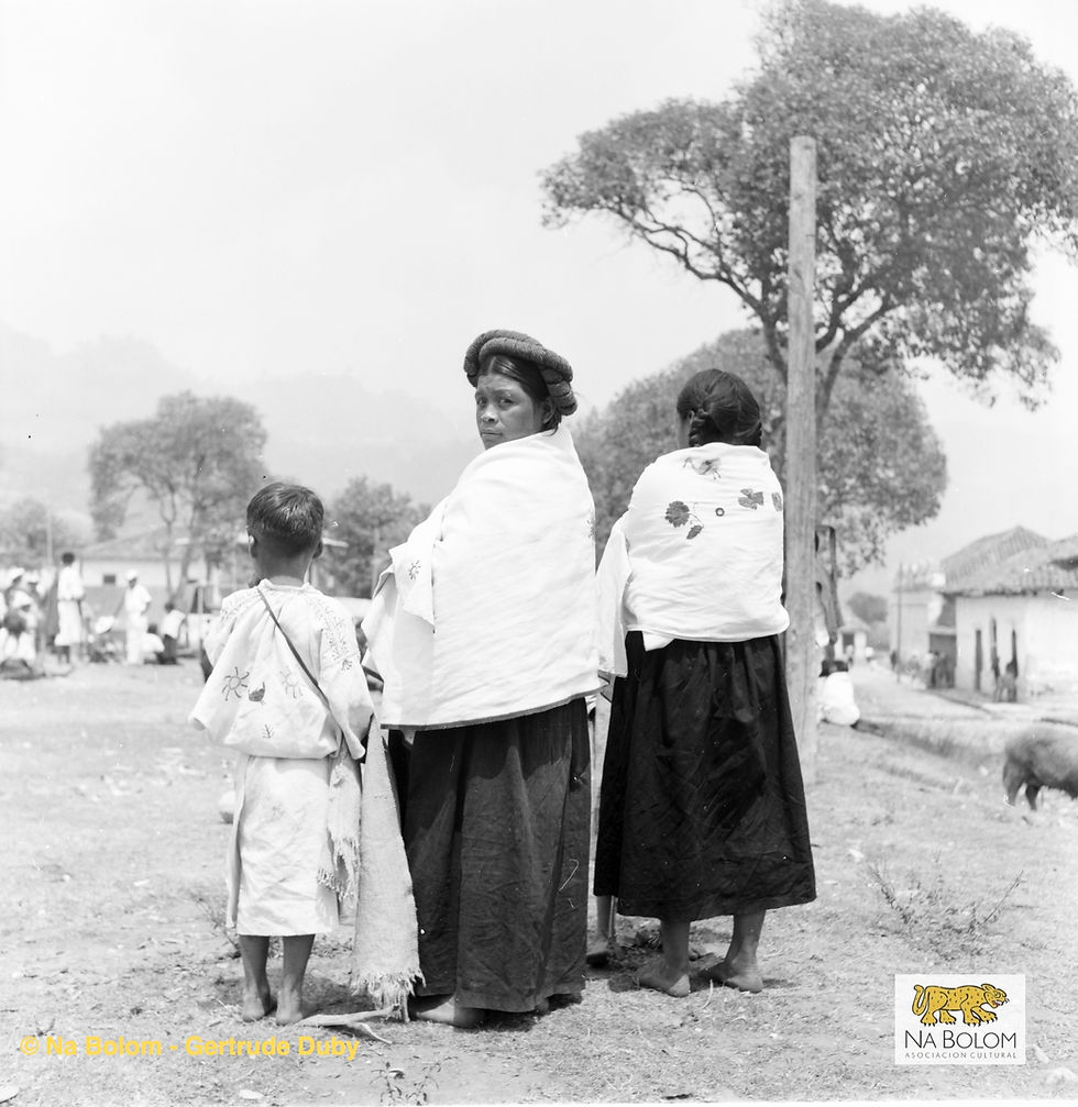 El traje huixteco | huixtan