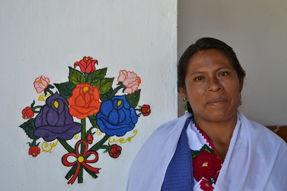 El traje huixteco | huixtan