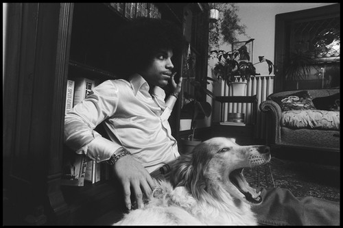 Prince With Dog | princeprefame