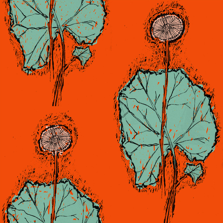 Surface Pattern Design | Dogtooth violet studio - Courtney Venable