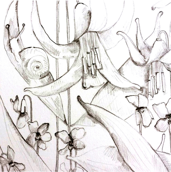 Surface Pattern Design | Dogtooth violet studio - Courtney Venable