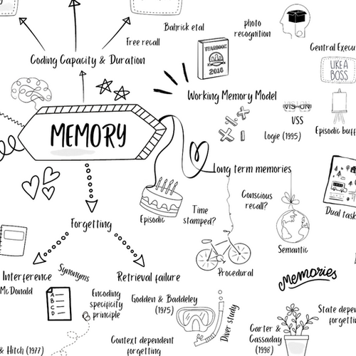 Doodle Notes for Memory | A-level Psychology