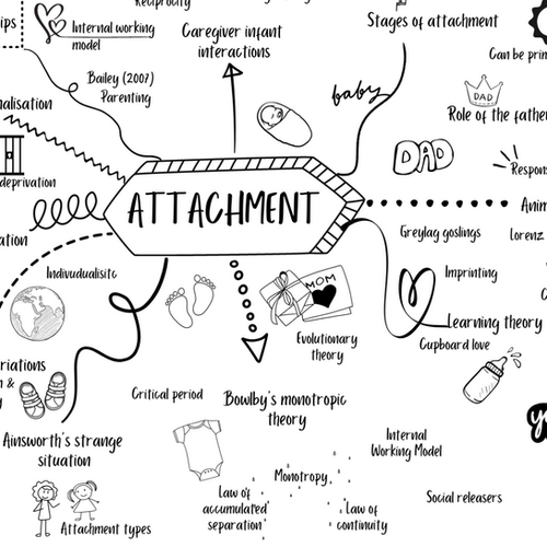 Doodle Notes for Attachment | A-level Psychology